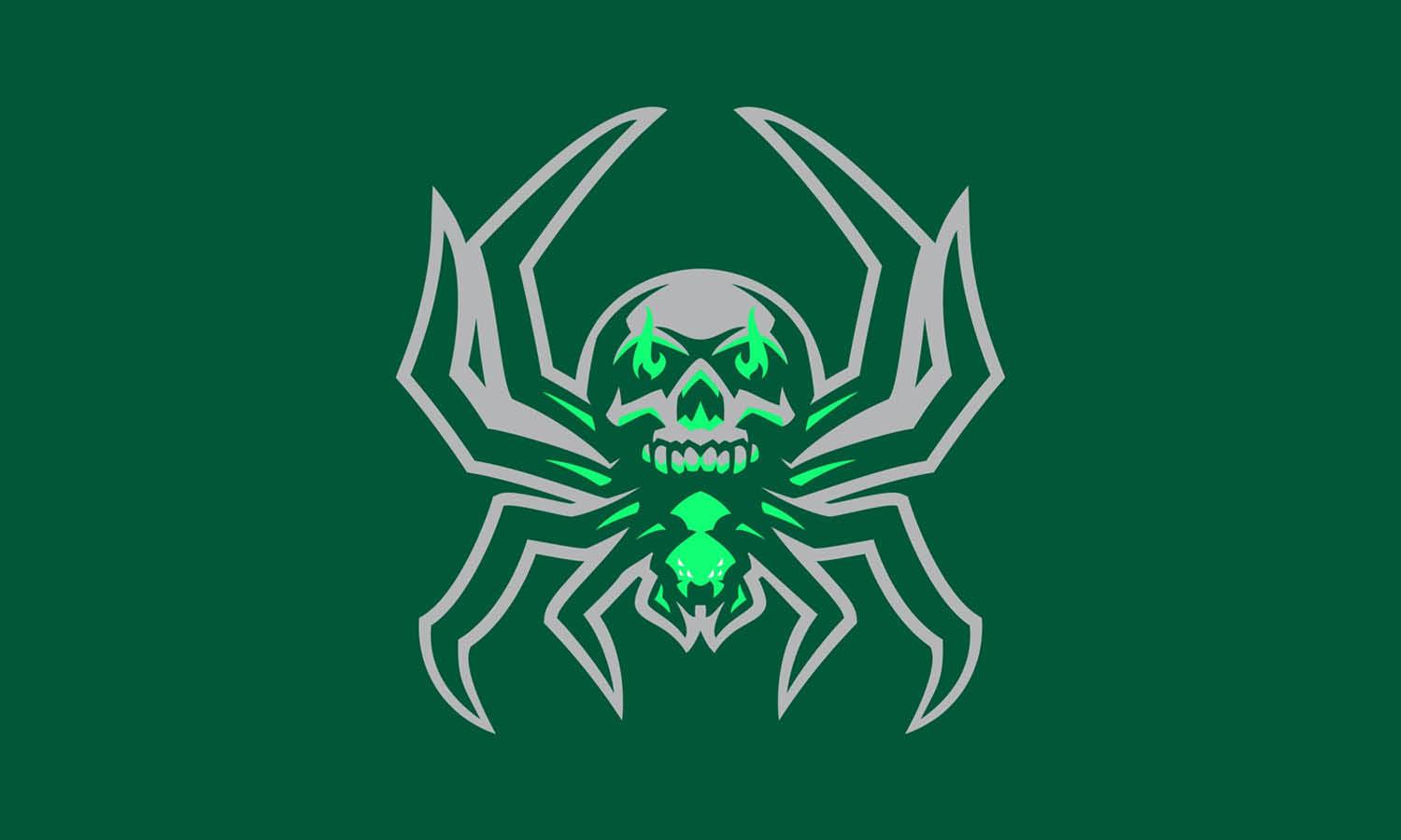 30 Best Spider Logo Design Ideas You Should Check