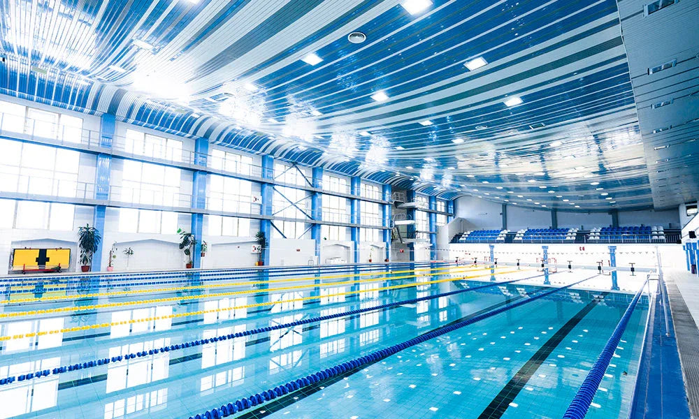 Lap Pools vs. Endless Pools: Which Custom Option Fits Best?