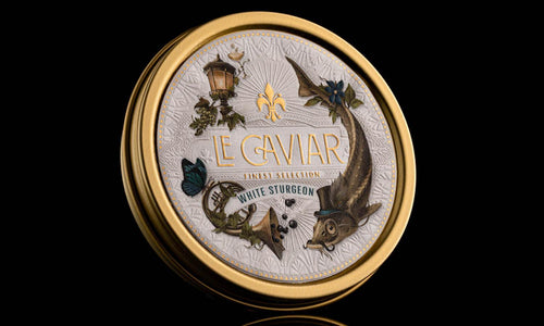 30 Best Fancy Logo Design Ideas You Should Check