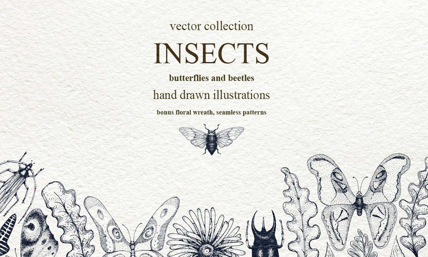 30 Antique Insects Graphics You Need to Collect