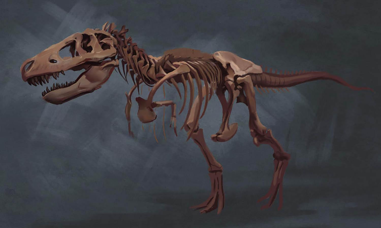 30 Best Dinosaur Illustration Ideas You Should Check