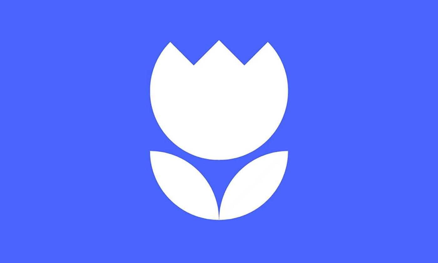 30 Best Star Logo Design Ideas You Should Check