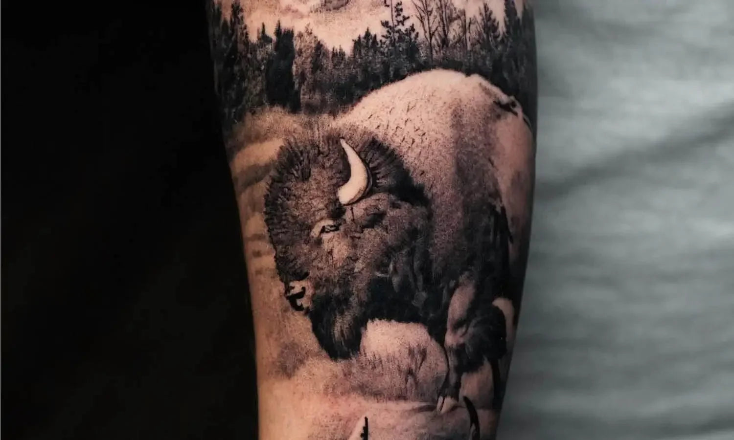 30 Best Bison Tattoo Ideas You Should Check