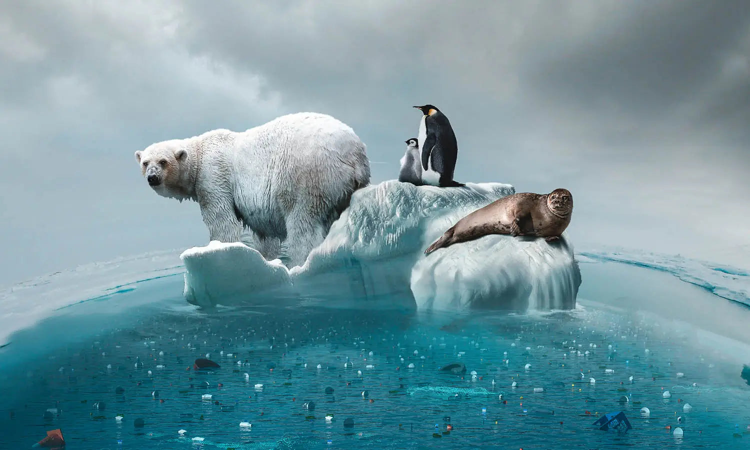 30 Genius Environmental Ad Campaign Ideas You Should Check