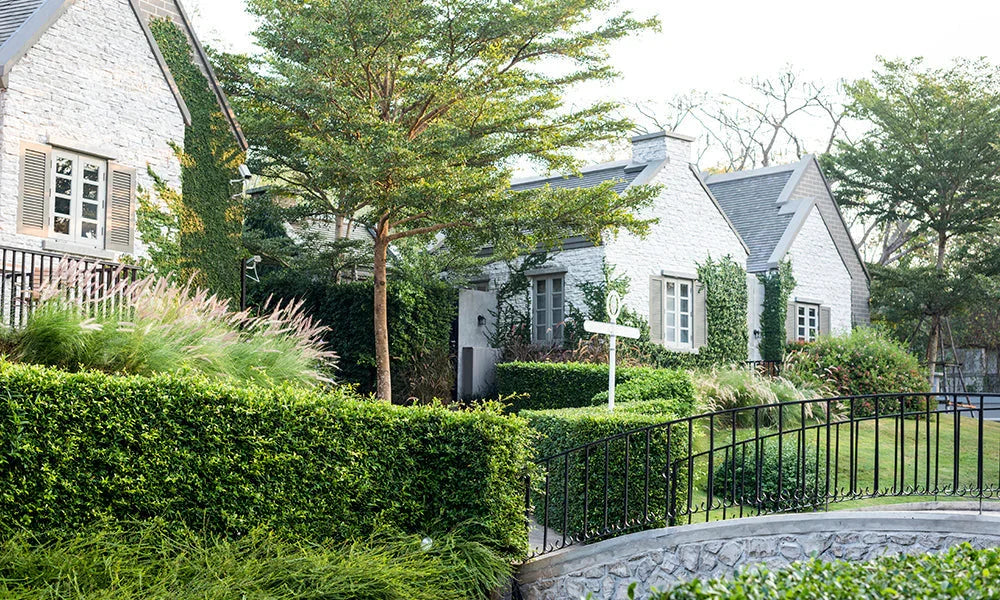 Expert Landscape Design for Gardens in Dallas: Transform Your Outdoor