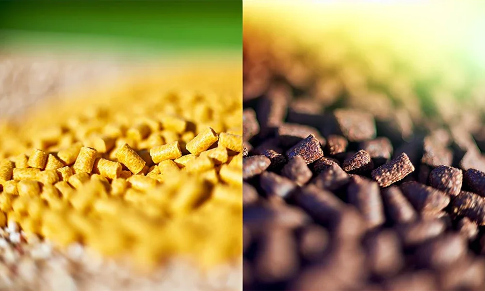 Optimizing Nutrition: Key Differences Between Poultry Feed and High-Fa