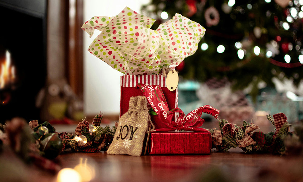 Smart Bird Feeders: How to Choose the Best Christmas Gift for Grandpar