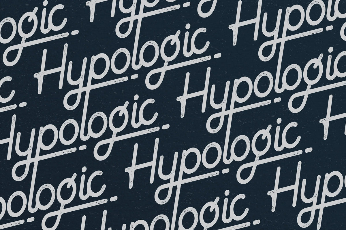 Hypologic - Modern Monoline Script Font